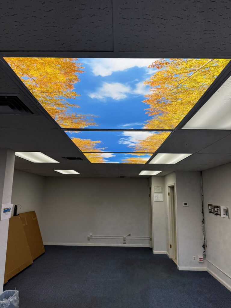 Sky Ceiling Installations • Fluorescent Gallery
