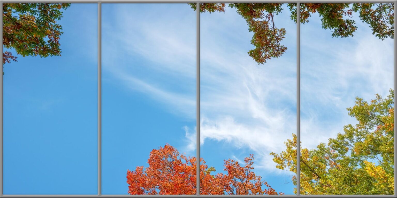 Sky Mural - Wickham Park Autumn 3489 • Fluorescent Light Covers ...