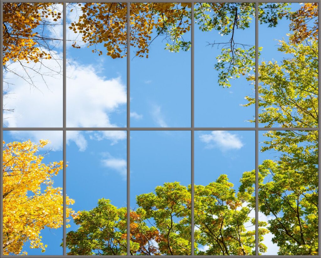 Sky Mural - Page Park Autumn 3411 • Fluorescent Light Covers ...
