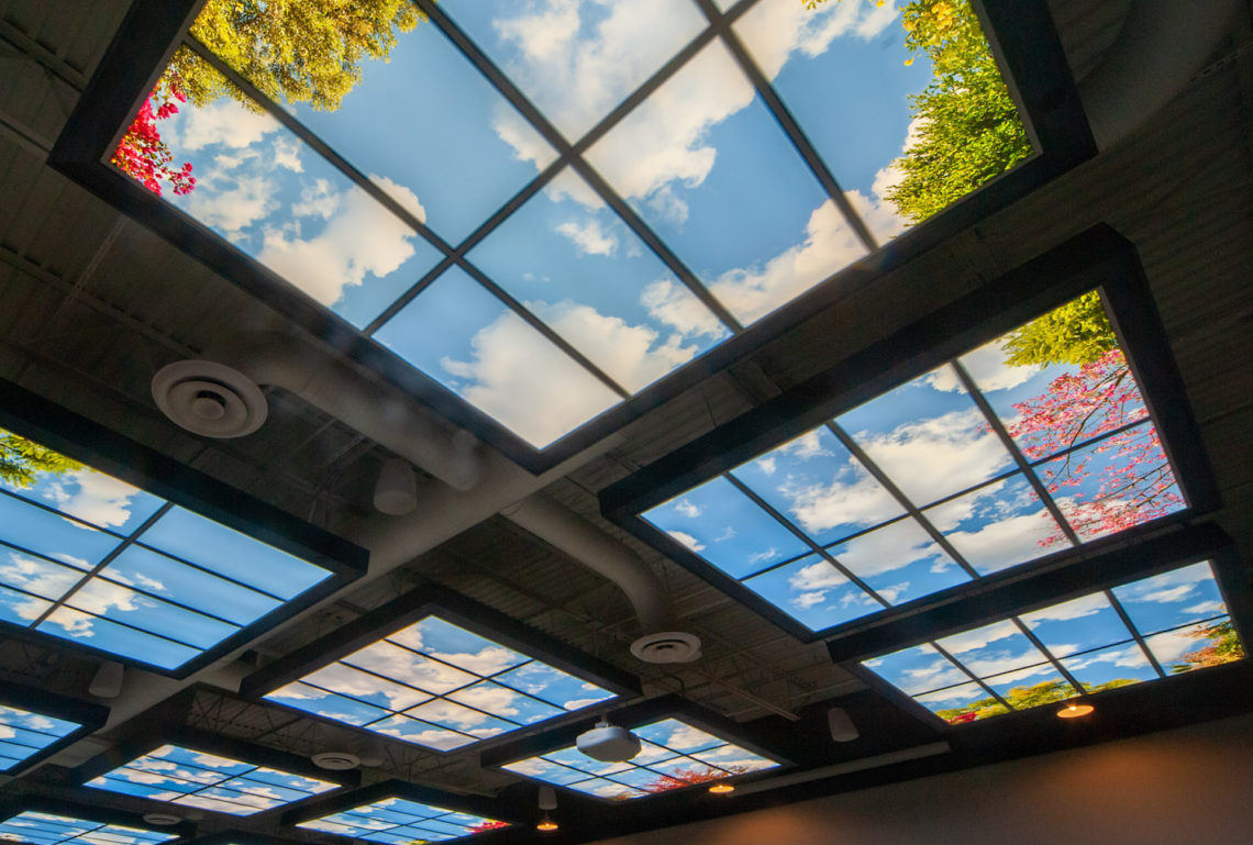 Sky Ceiling Installations • Fluorescent Gallery