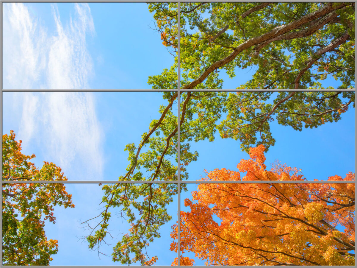 New Fall Color Sky Panels are Here! • Fluorescent Gallery