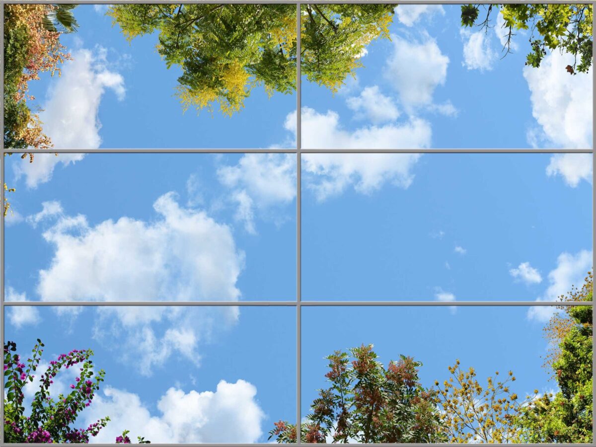 Sky Ceiling Mural Light Panel Covers | Fluorescent Gallery