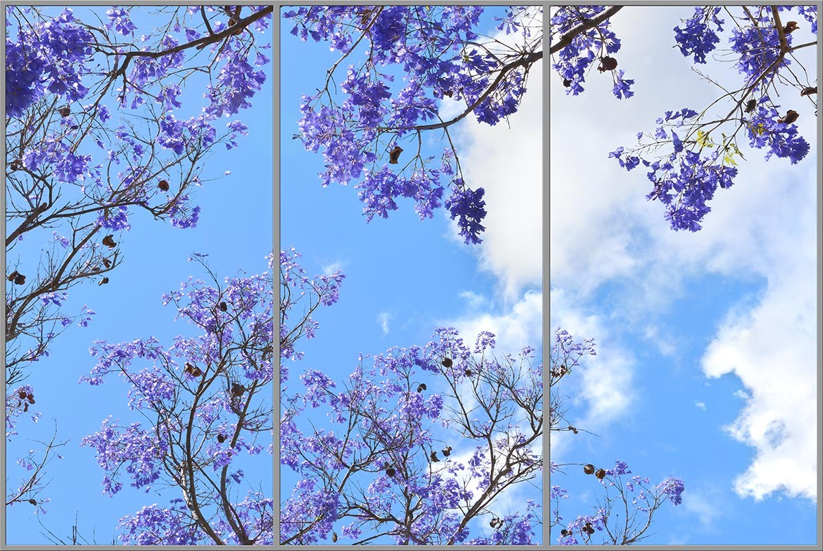 12 Best Selling Sky Ceiling Panel & Mural Designs